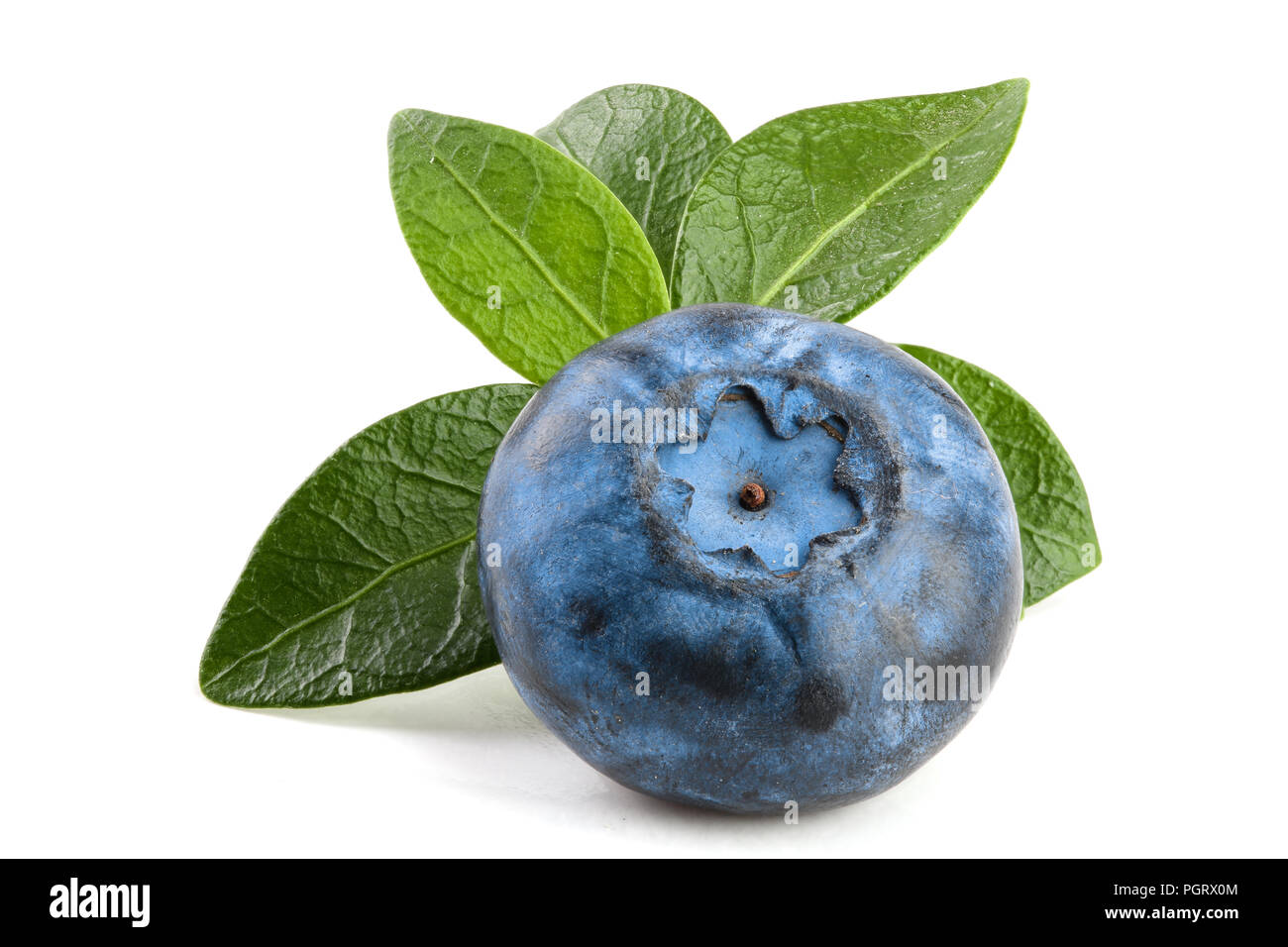 Single fresh blueberry with leaf isolated on white background Stock ...