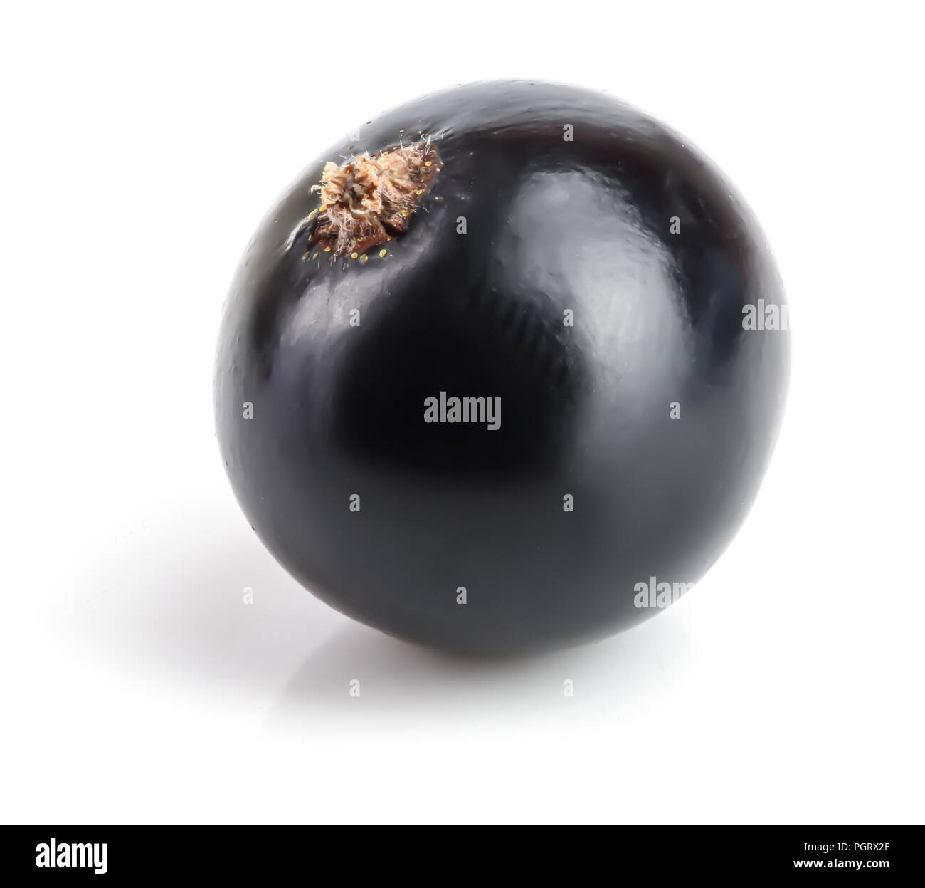 One black currant isolated on white background Stock Photo - Alamy
