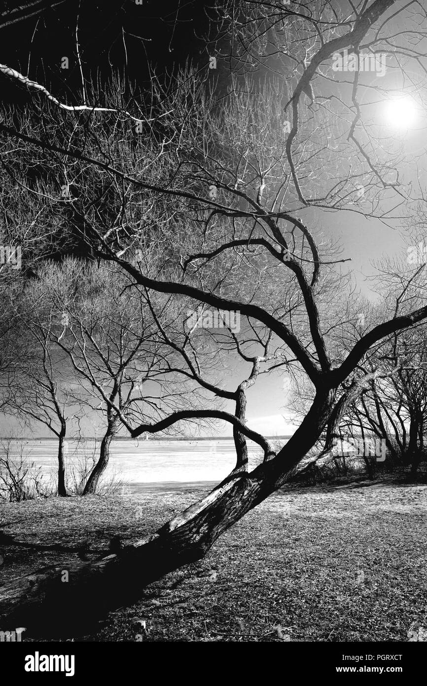 Aerial photo rivers lakes in hi-res stock photography and images - Alamy