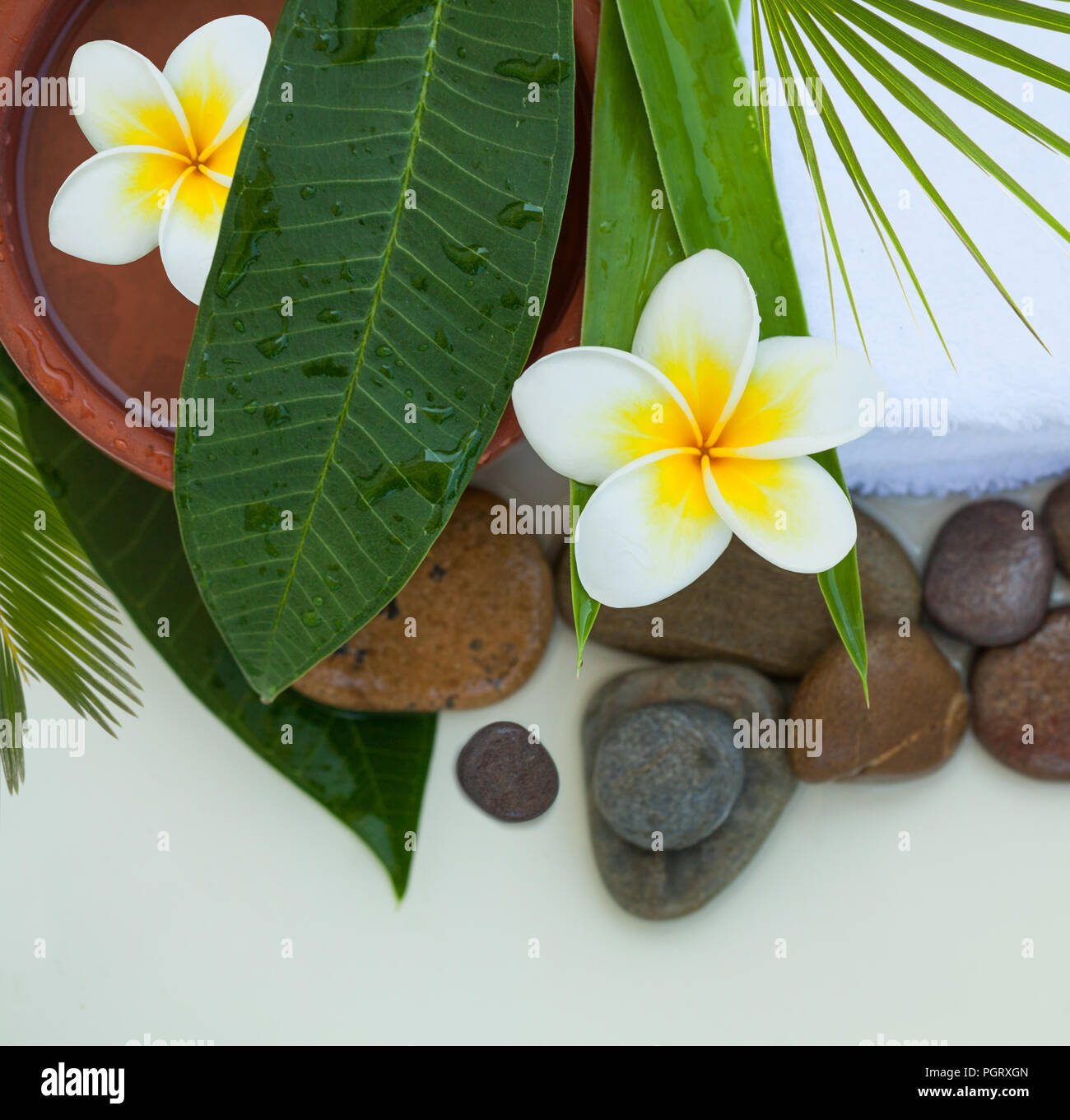 Spa background with green leaves, flowers and cosmetics on white Stock ...
