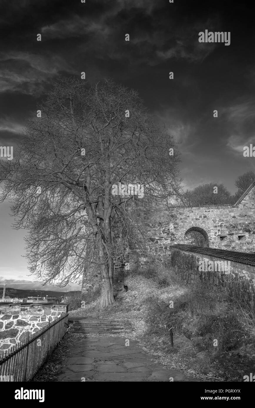 Norway fort tourism castle Black and White Stock Photos & Images - Alamy