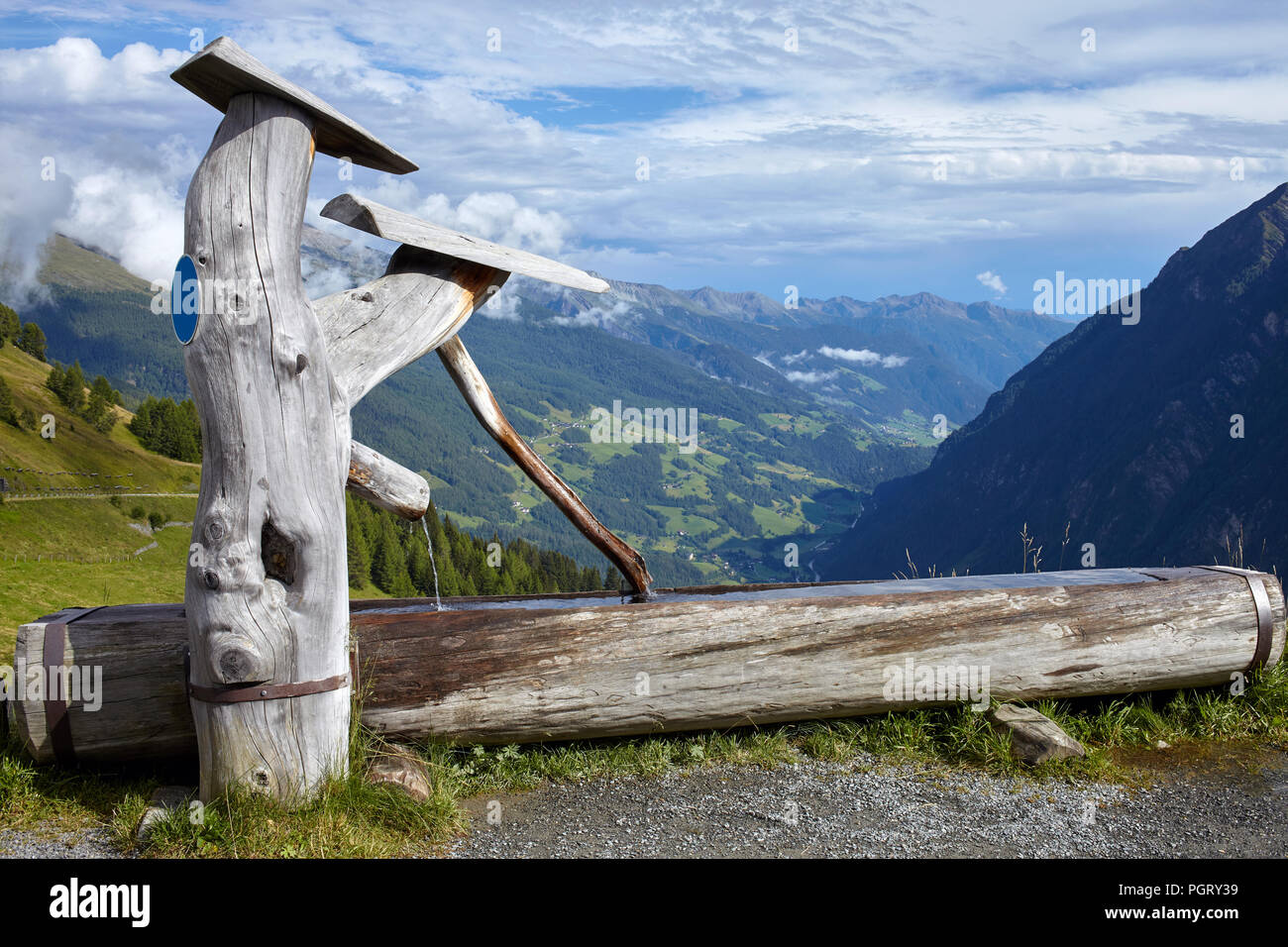 Tall stump wood hi-res stock photography and images - Alamy