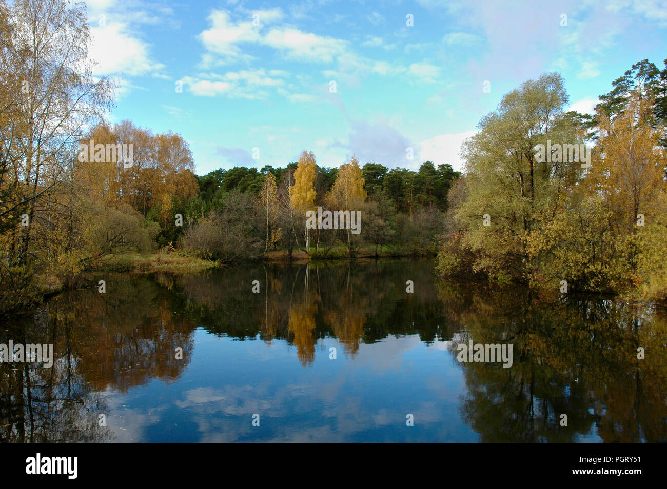 Autumn forest on the shore of the lake in the reflection Stock Photo ...
