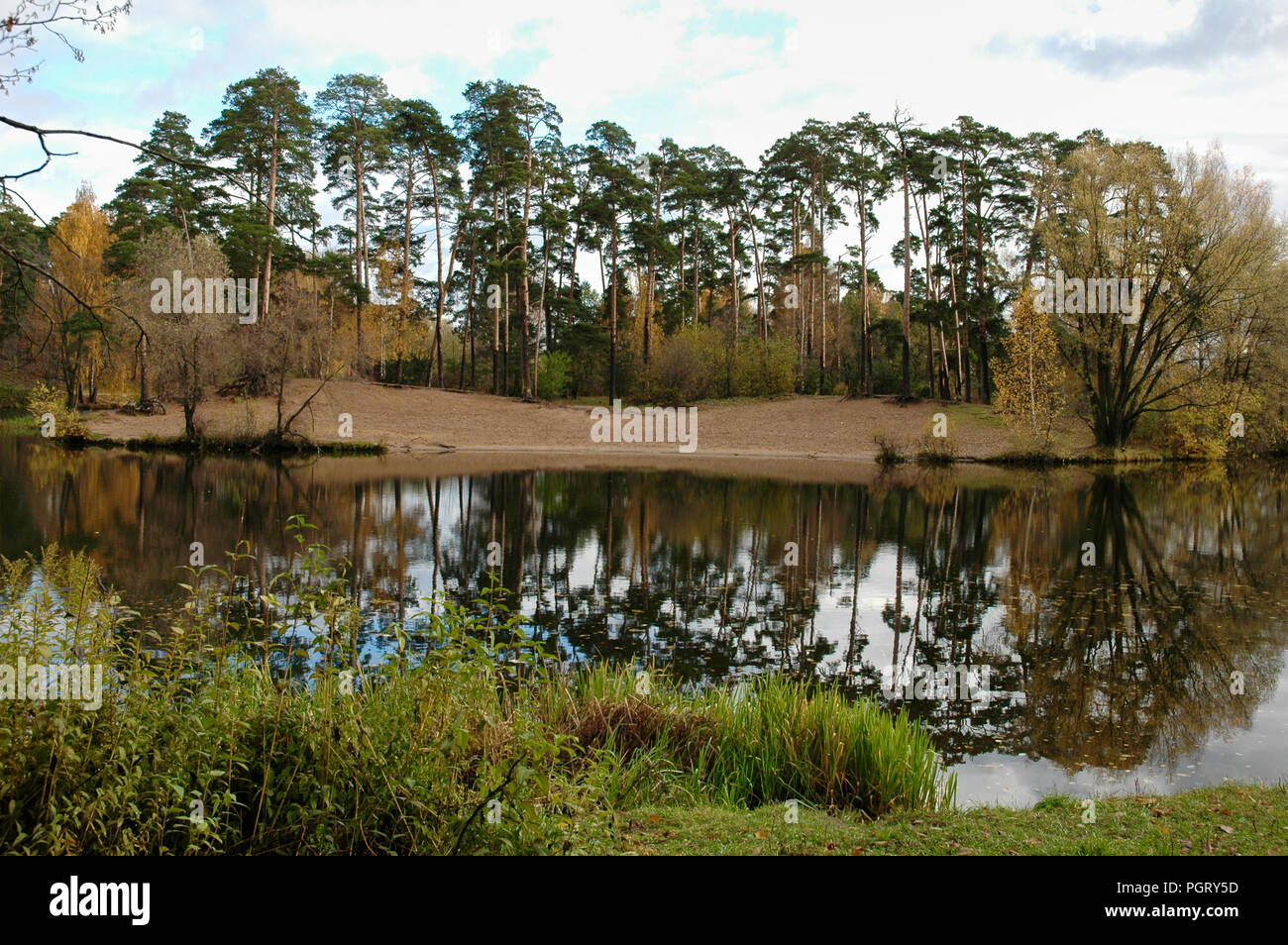 Fall lake shore forest hi-res stock photography and images - Alamy