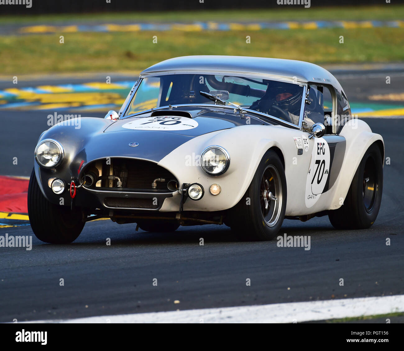 Erwin France, Shelby Cobra 289, Plateau 4, Grid 4, 1962 to 1965 cars ...