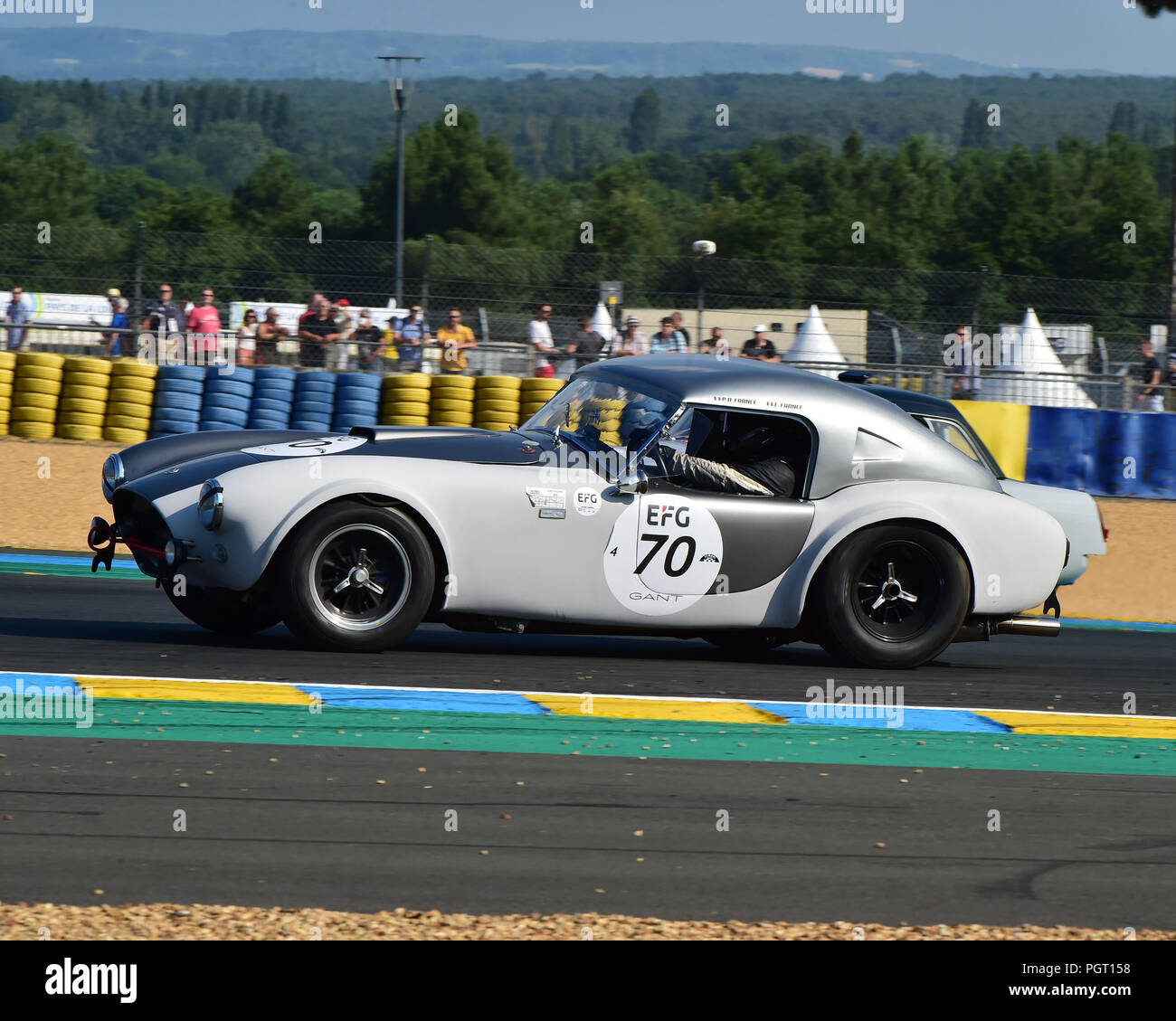 Erwin France, Shelby Cobra 289, Plateau 4, Grid 4, 1962 to 1965 cars ...