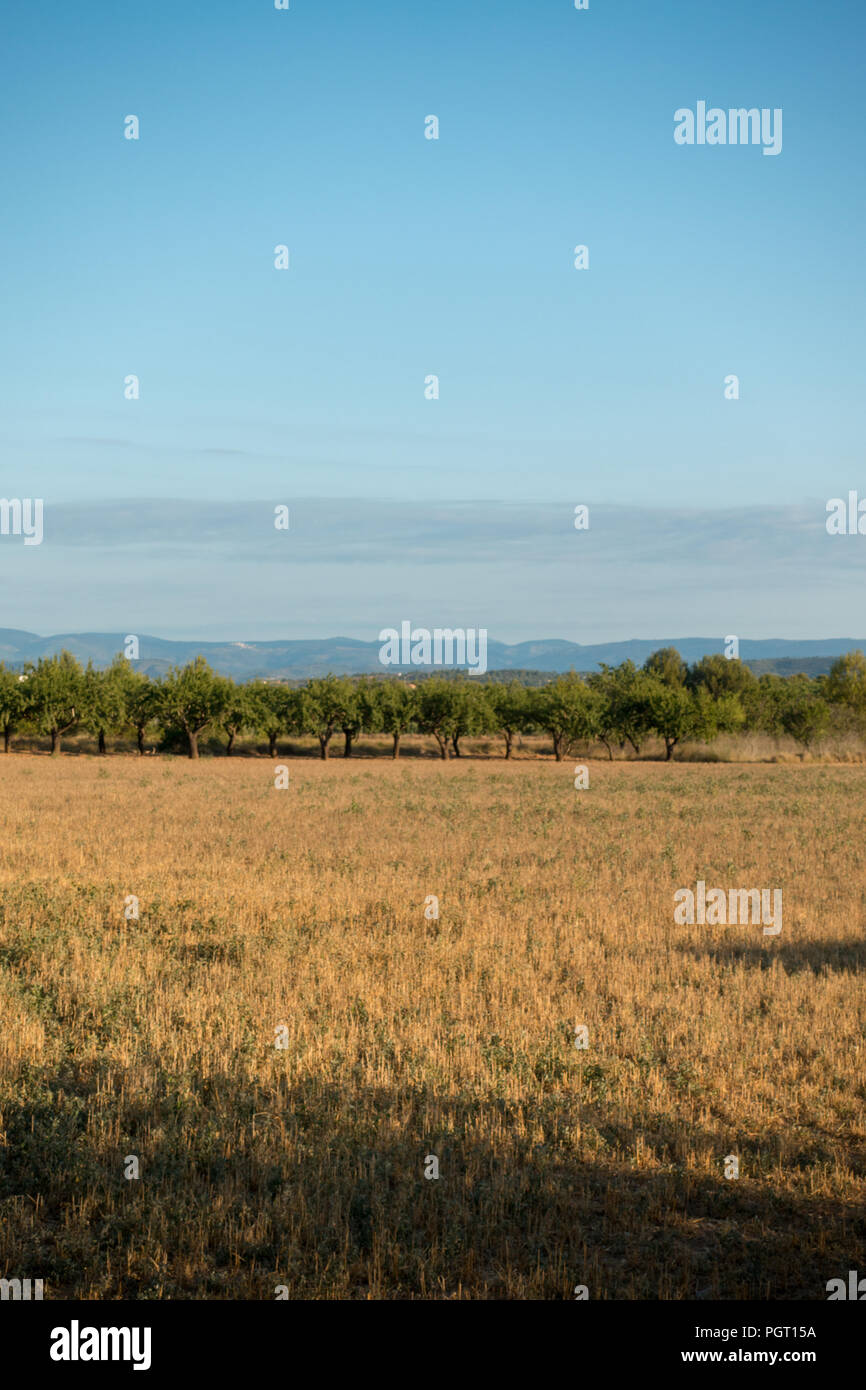 The road to Santiago and the via augusta in Castellon, Spain Stock ...