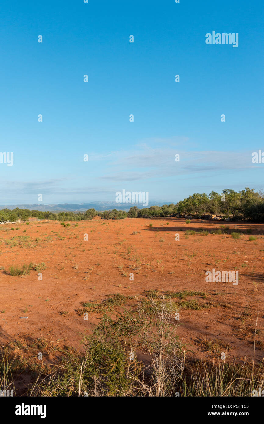 The road to Santiago and the via augusta in Castellon, Spain Stock ...