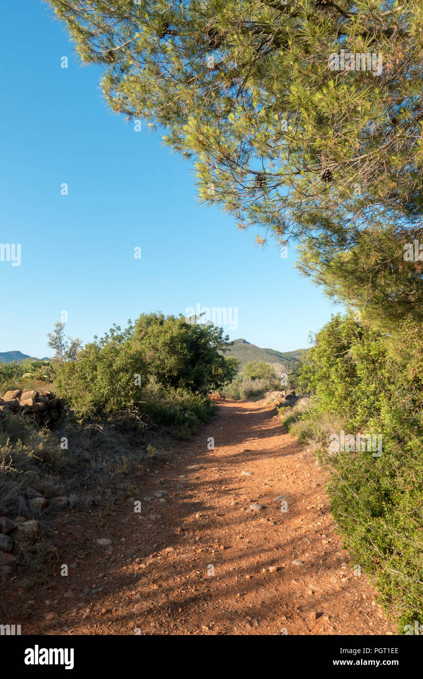 The road to Santiago and the via augusta in Castellon, Spain Stock ...