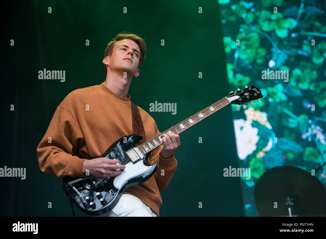 Fieh hi-res stock photography and images - Alamy