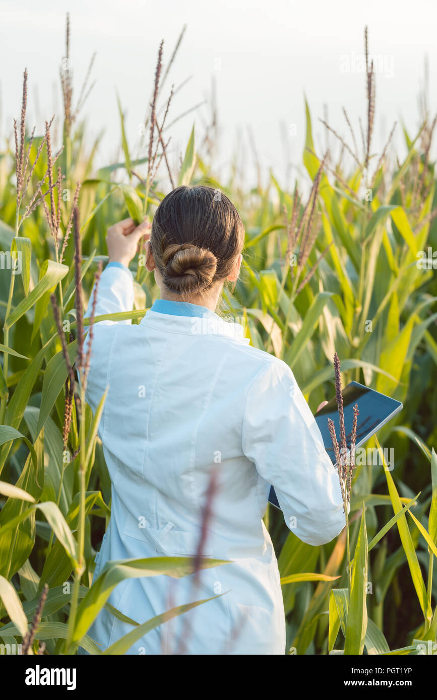 Scientist in field genetic hi-res stock photography and images - Alamy