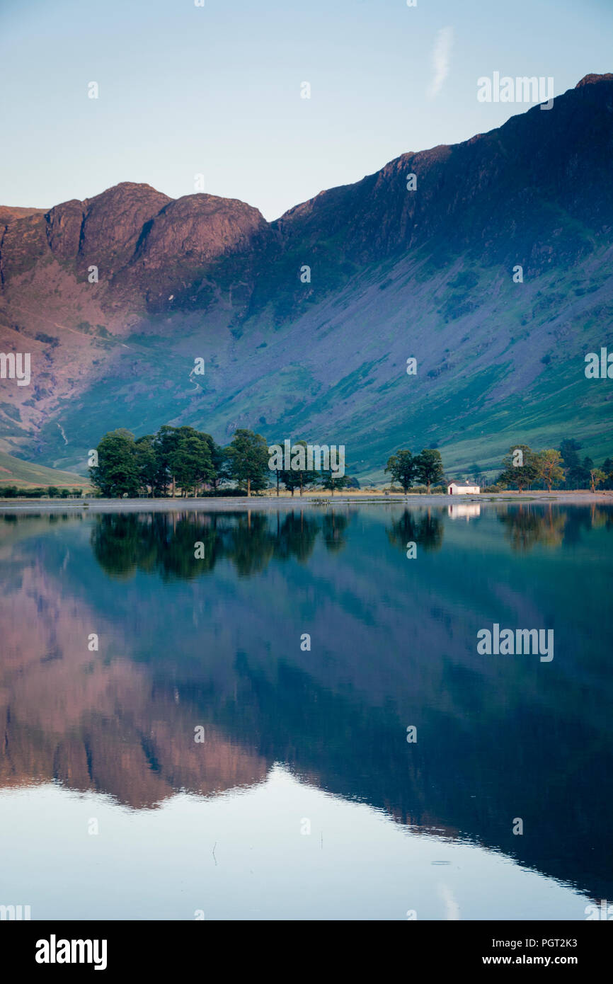 Buttermere Pines from lakeshore at sunset, Lake District, Cumbria ...