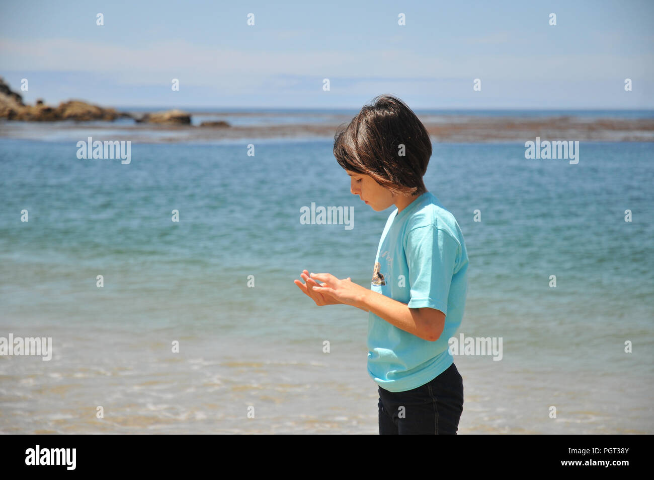 Collecting shells at the beach hi-res stock photography and images - Alamy