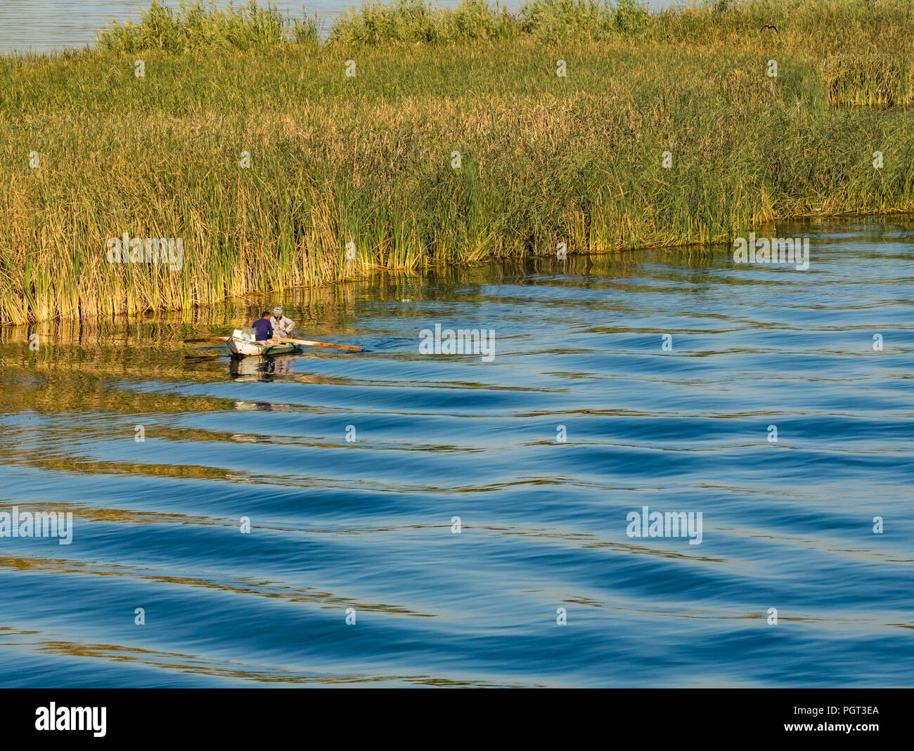Egyptian local men in rowing boat with oars in early morning light ...