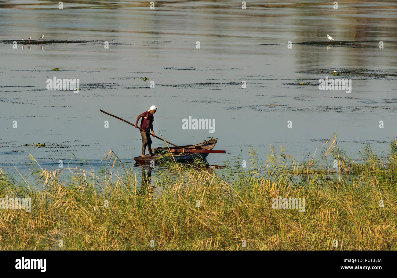 Egyptian local man wearing turban with pole in old rowing boat in early ...