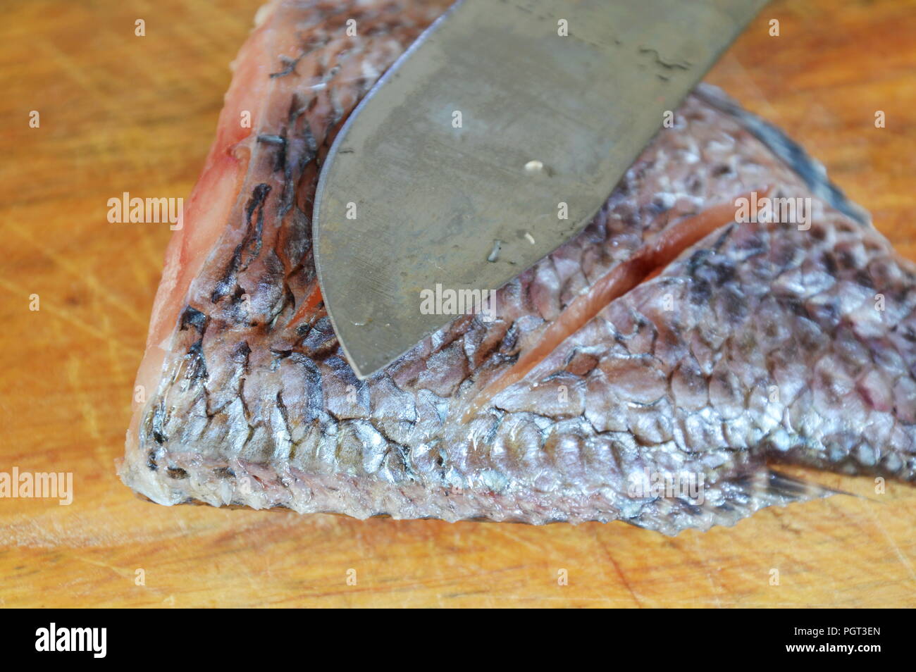 Fish Slice Tool High Resolution Stock Photography and Images - Alamy