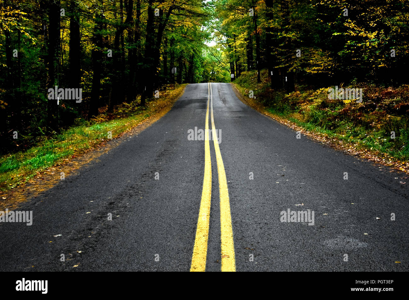 A drive through rural back country Pennsylvania roads with fall foliage ...