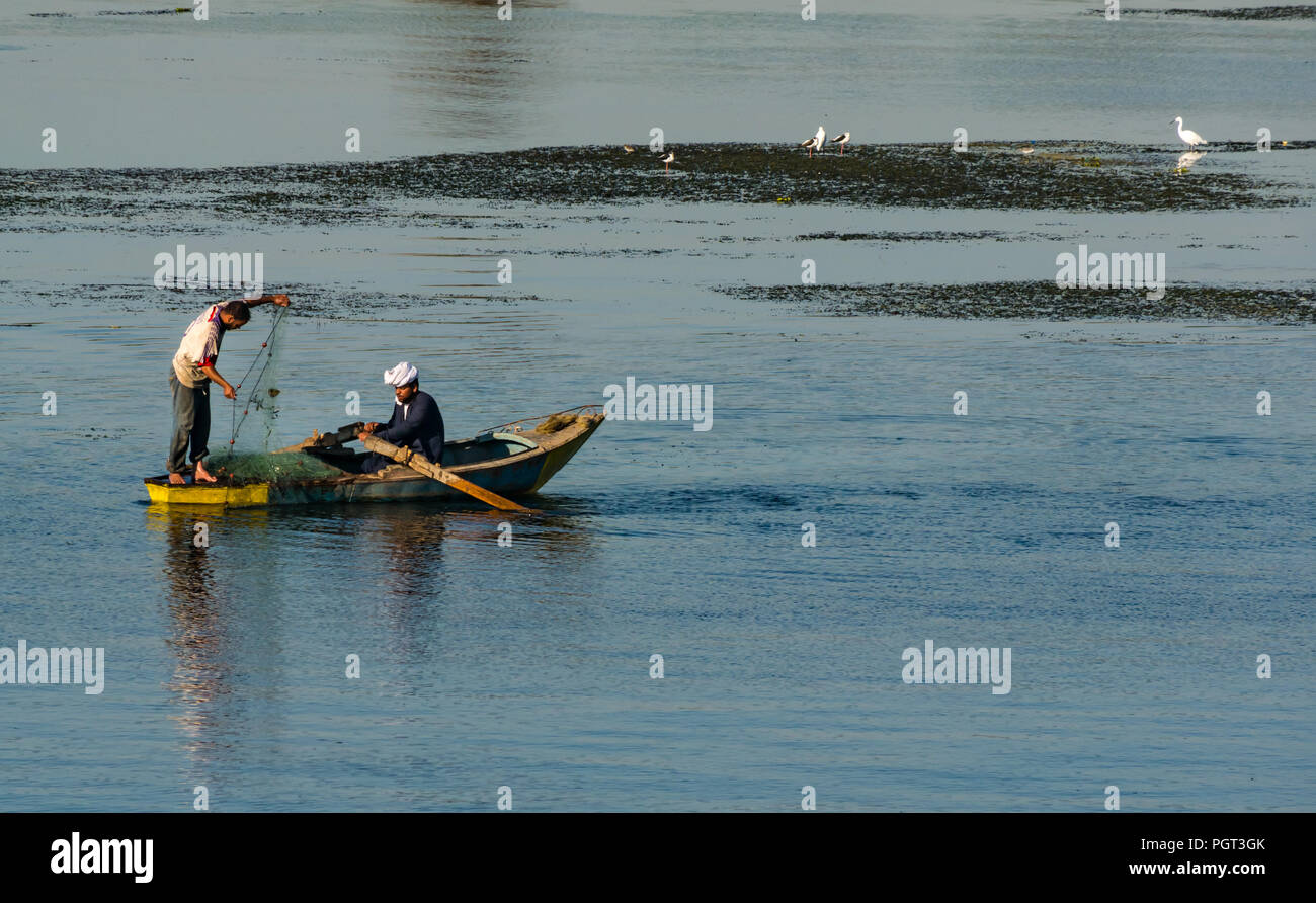Egyptian local men in rowing boat with oars fishing with net in early ...