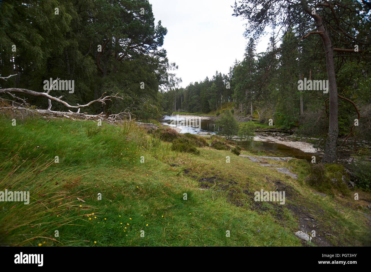 The Deep Gorge of the Linn of Dee, Cairngorms National Park, Perth and ...