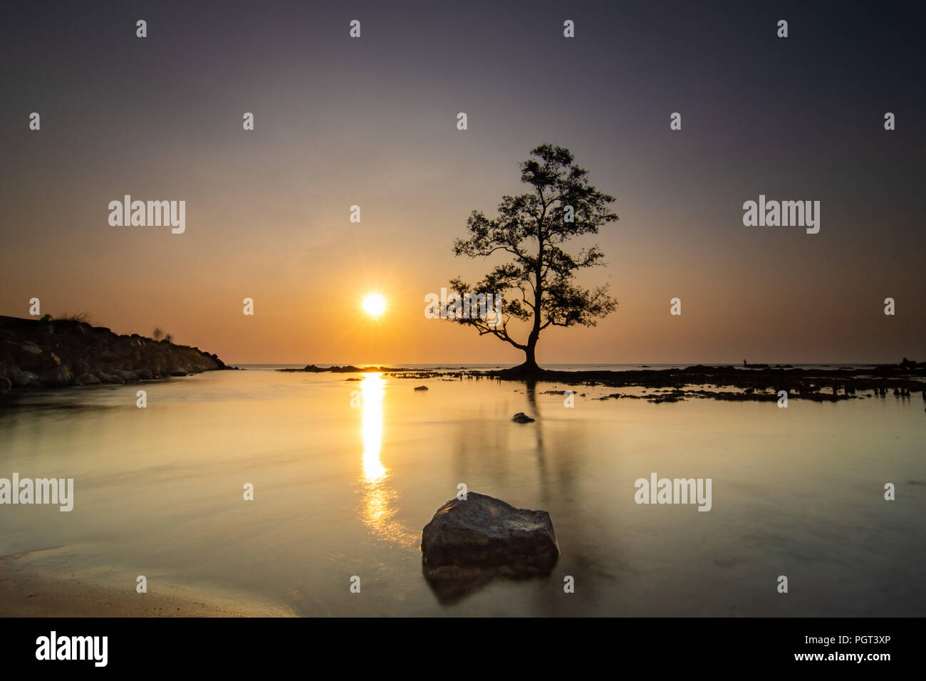 Lonely tree hd wallpaper hi-res stock photography and images - Alamy