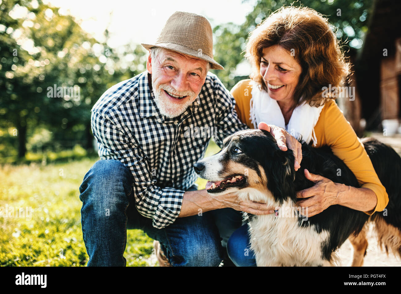 Petting a dog hi-res stock photography and images - Alamy