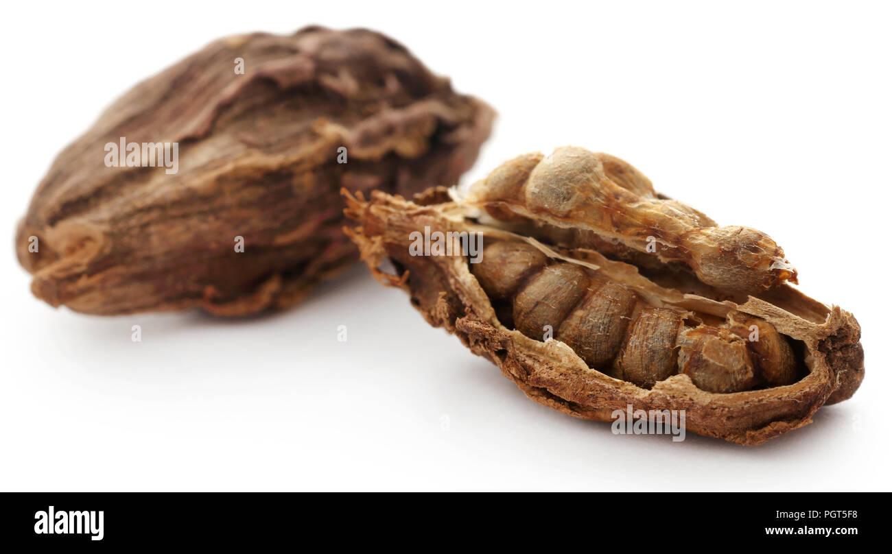 Black cardamom over white background Stock Photo - Alamy