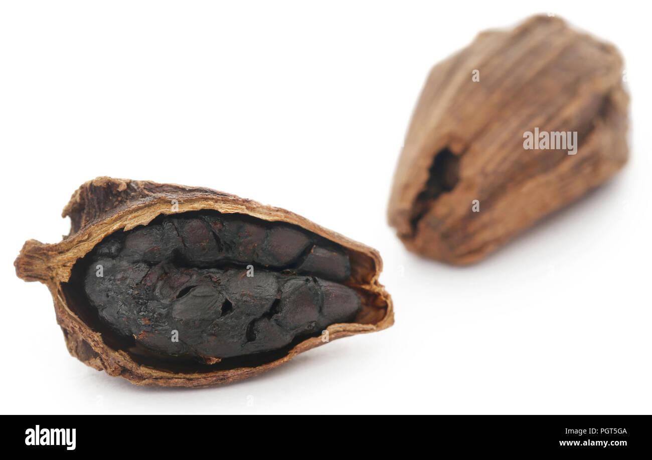 Black cardamom over white background Stock Photo - Alamy