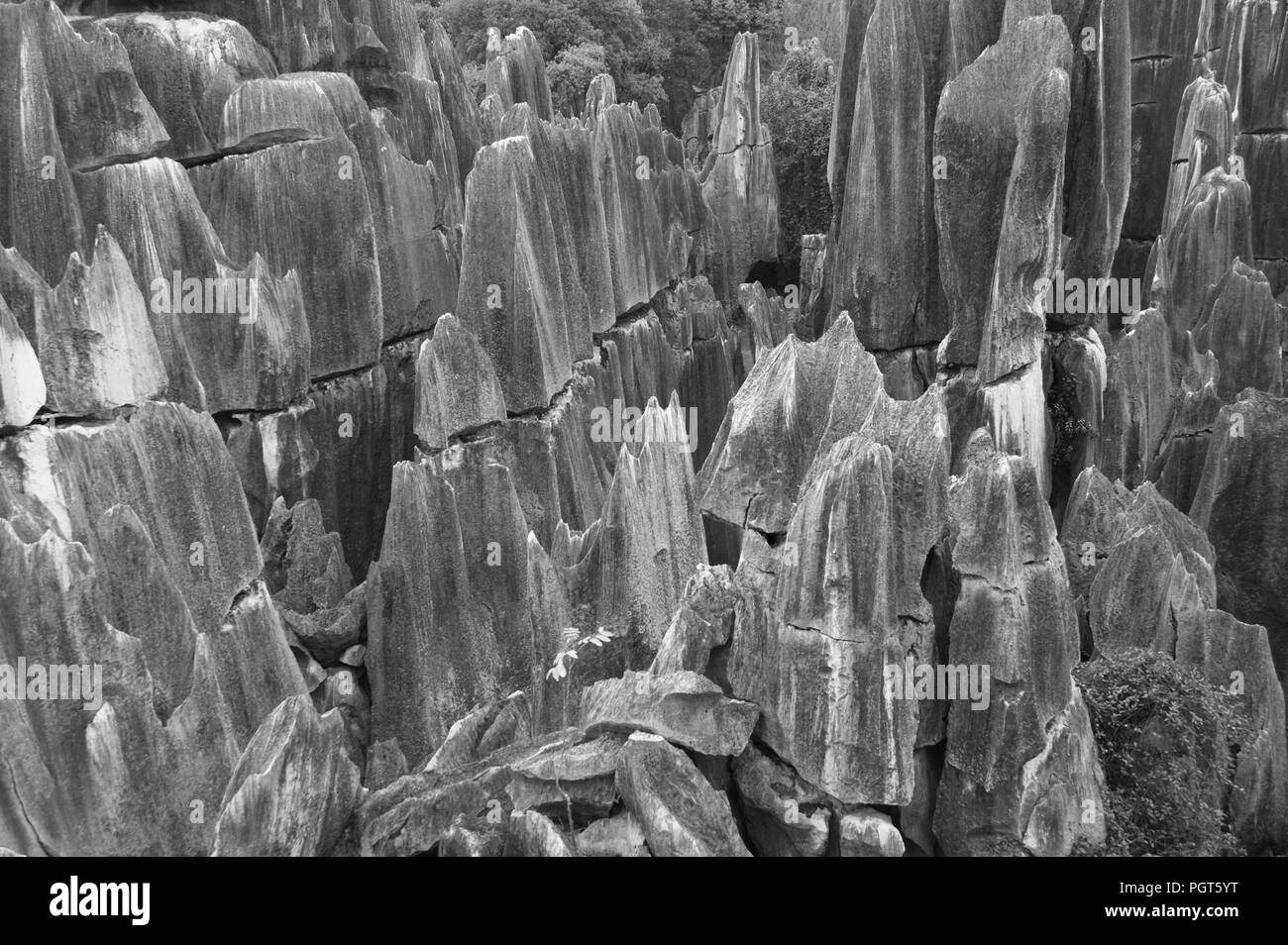 Stone Forest - Kunming (Shilin, Yunnan, China Stock Photo - Alamy