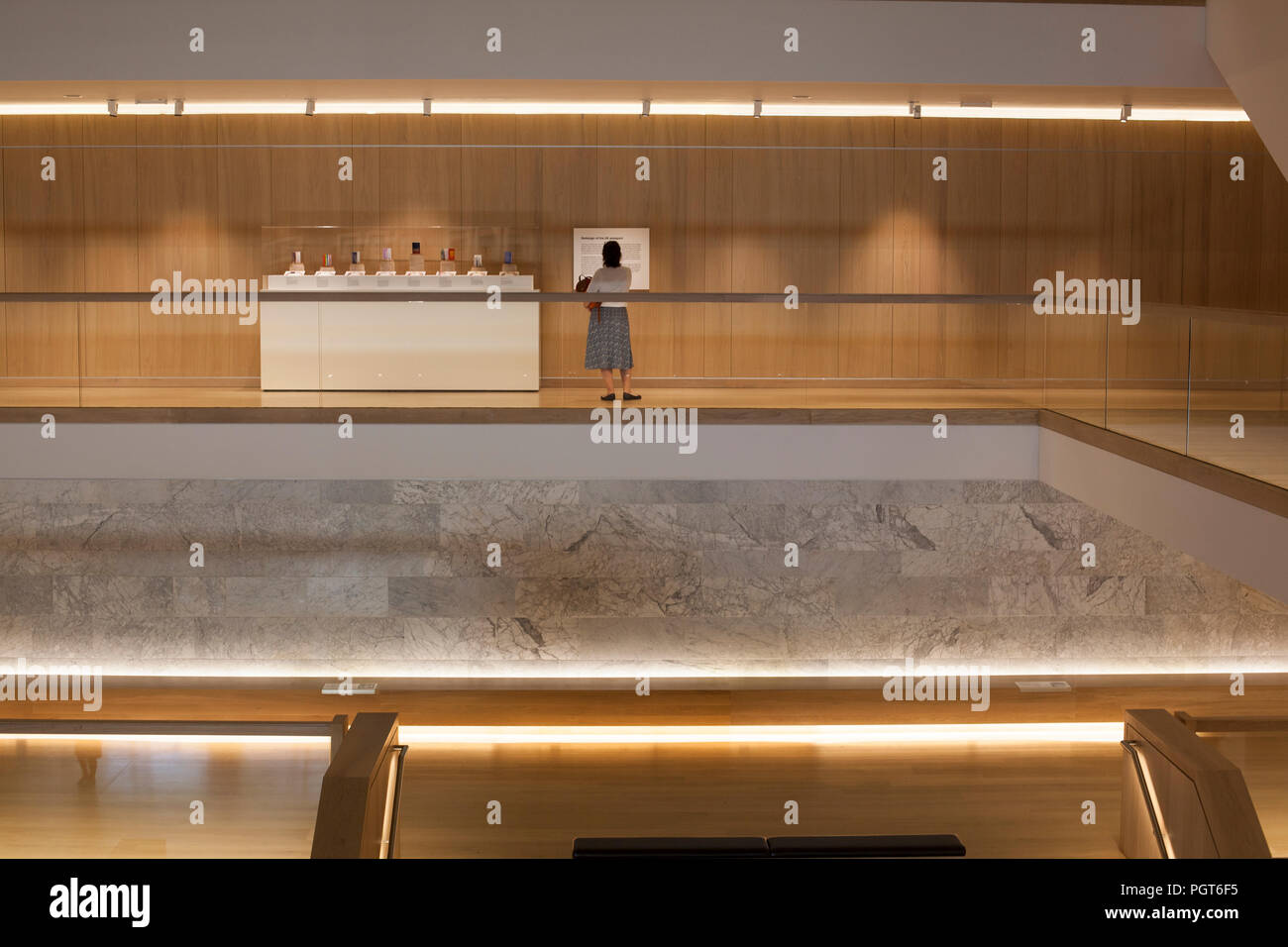 A woman reading a description of the exhibition in the design museum ...