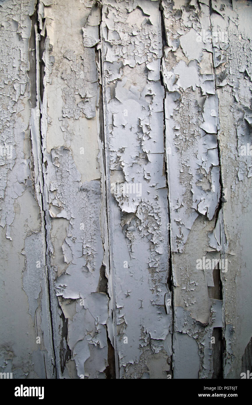 White flaking paint on boards shot close up for use as a background ...