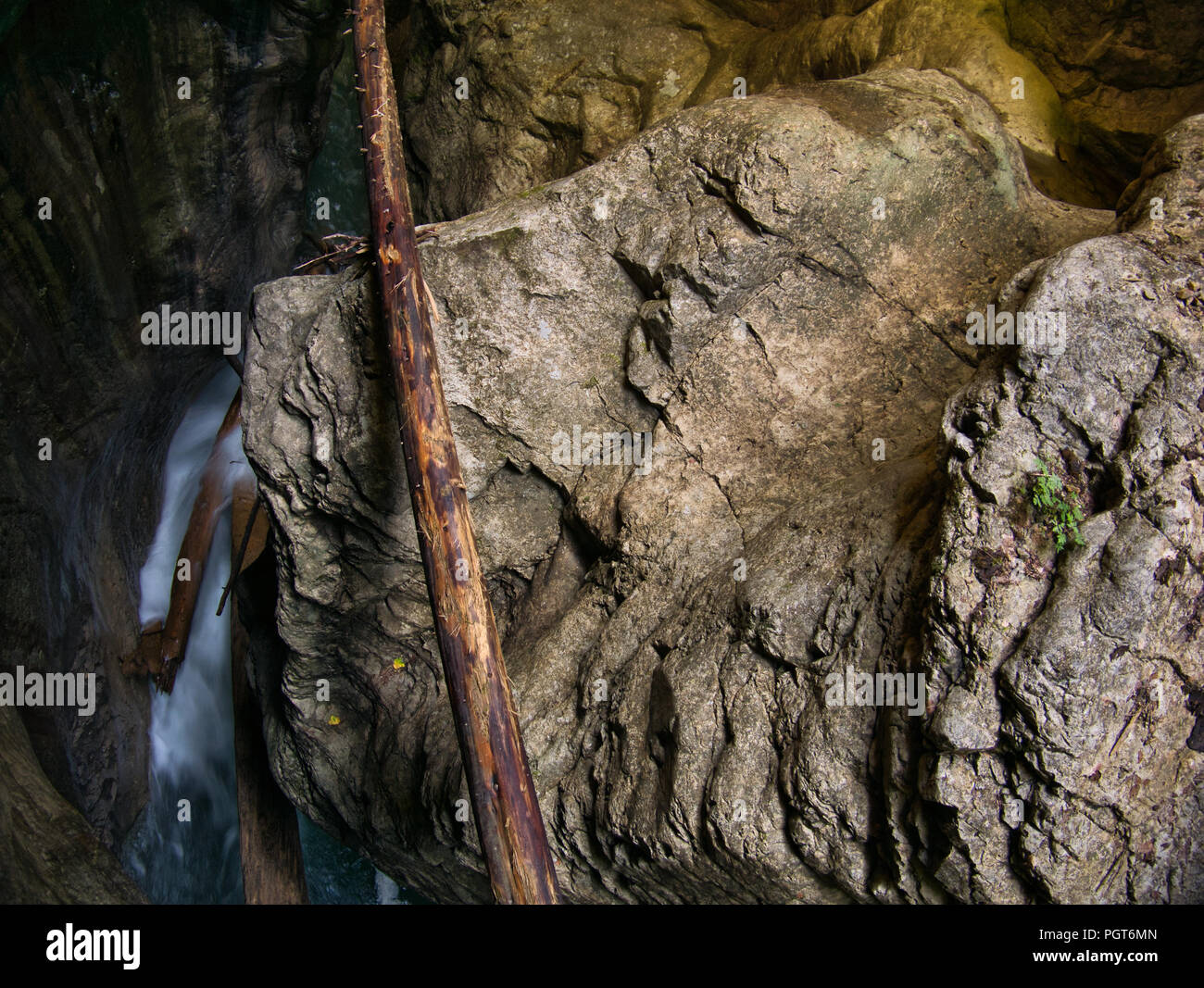 Tree trunks rubbed off the water in the middle of the gorge on a ledge ...