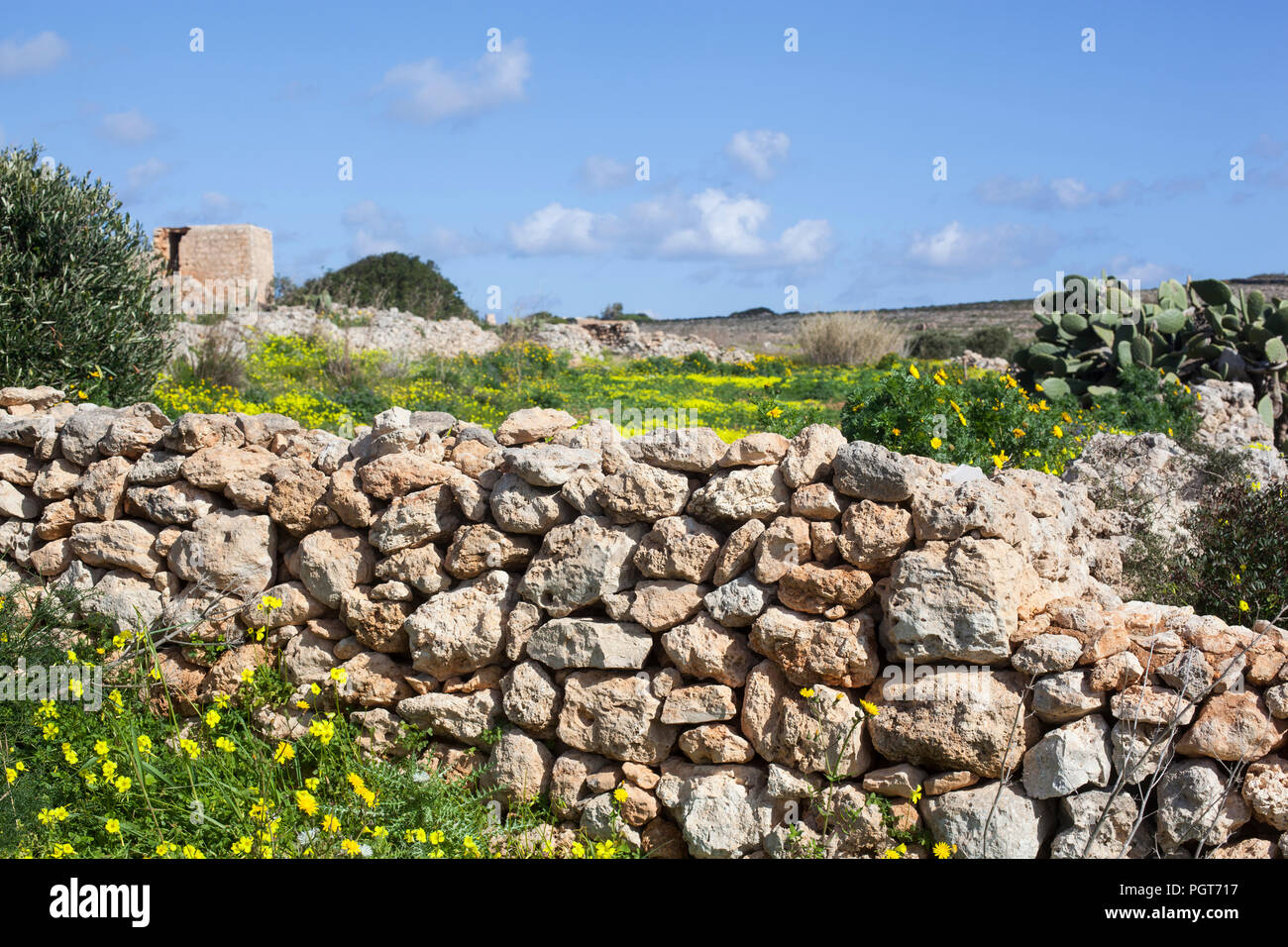Fields on Malta Stock Photo - Alamy