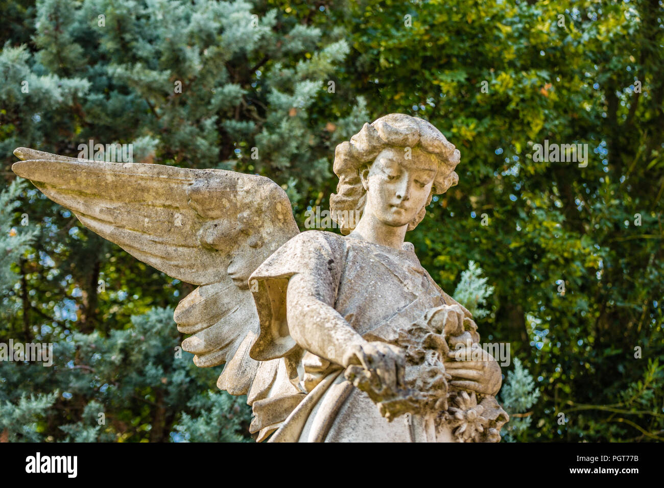 Offering arms hi-res stock photography and images - Alamy