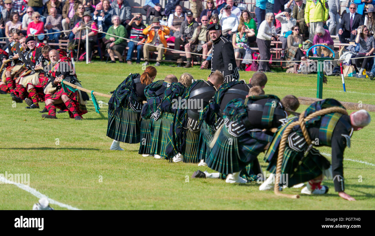 Lonach Gathering, Scotland - Aug 25, 2018: Tug of War event at the ...