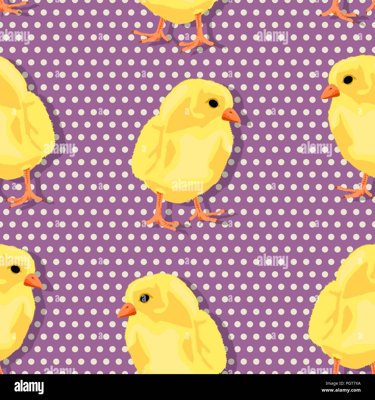 Dyed baby chicks hi-res stock photography and images - Alamy