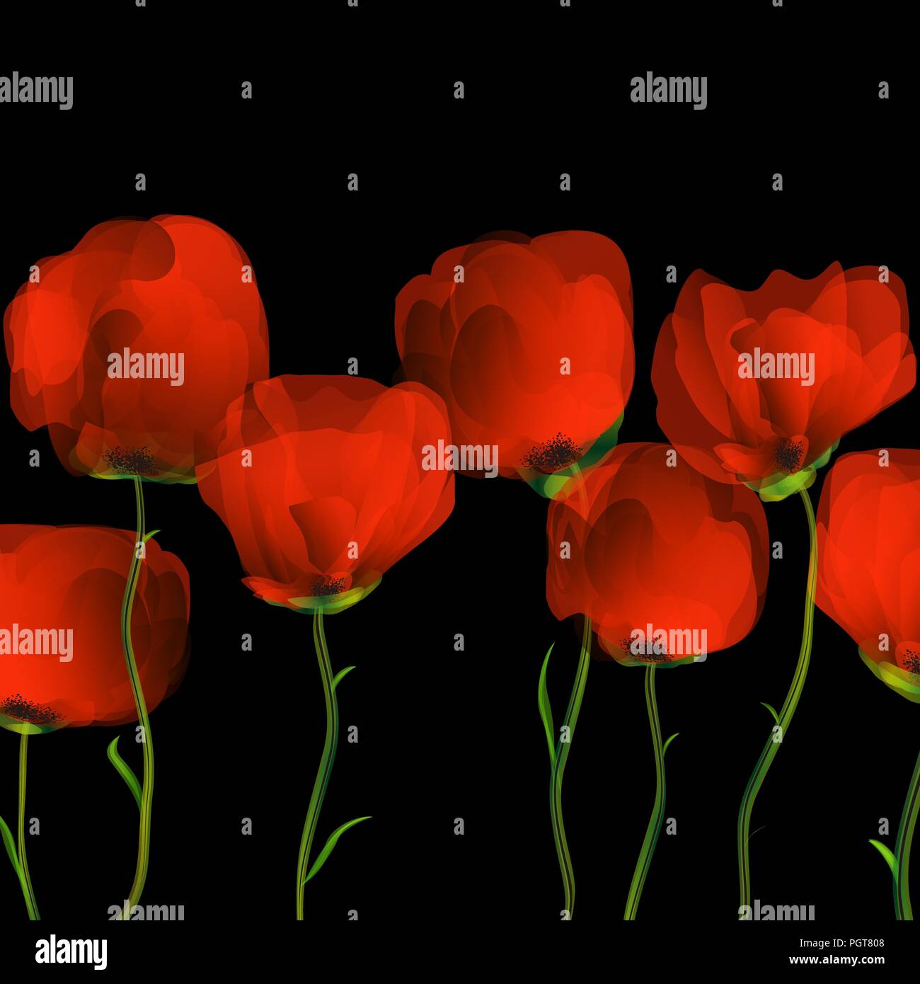 Wild field poppies Stock Vector Images - Alamy