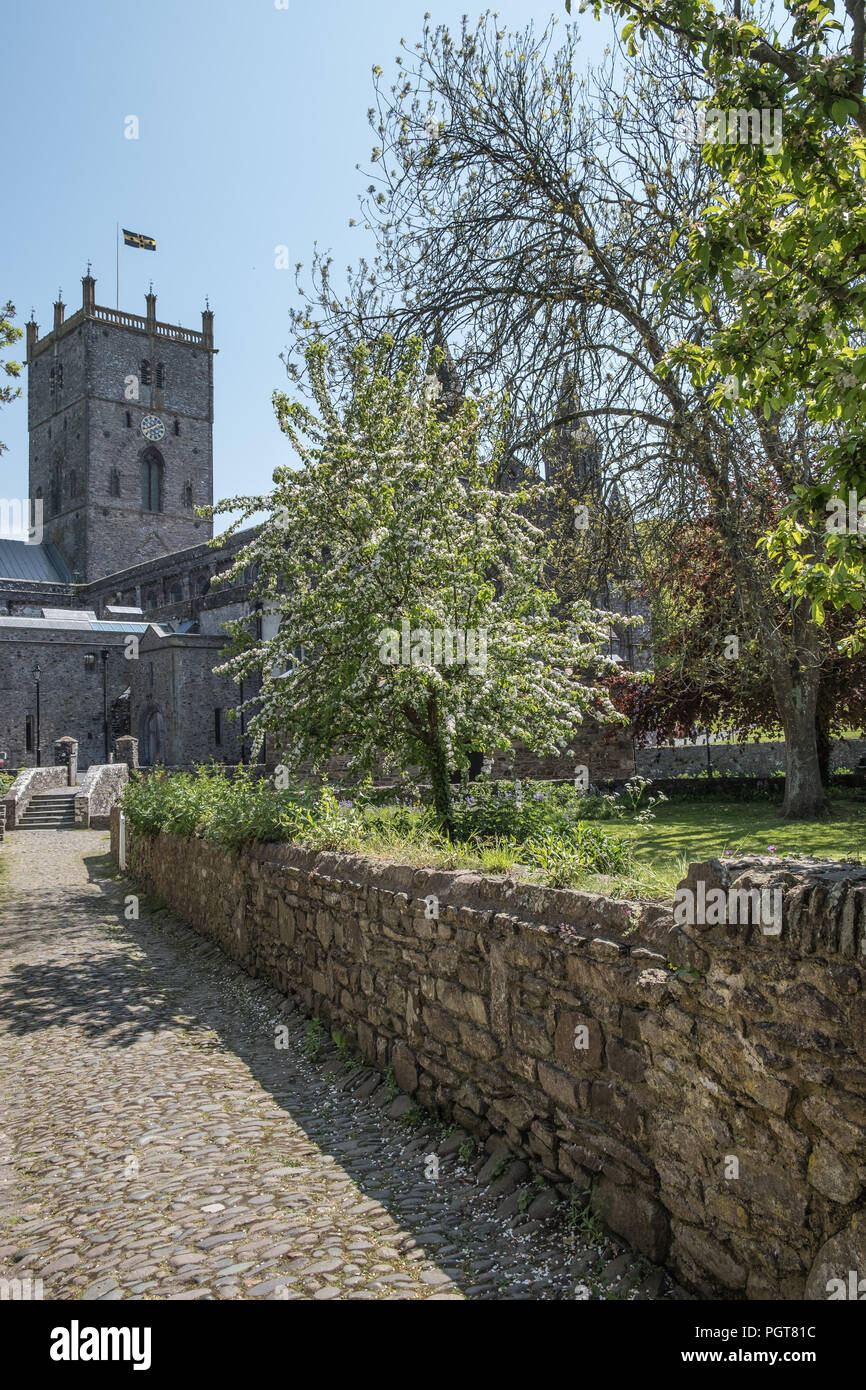 Welsh Cathedral High Resolution Stock Photography and Images - Alamy