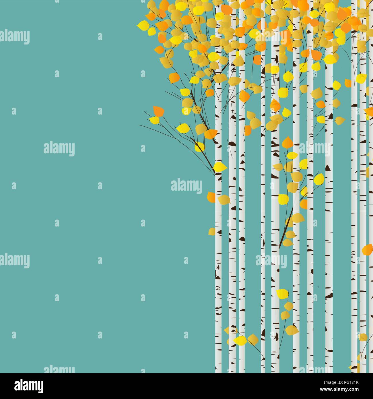 Birch bark vector vectors hi-res stock photography and images - Alamy