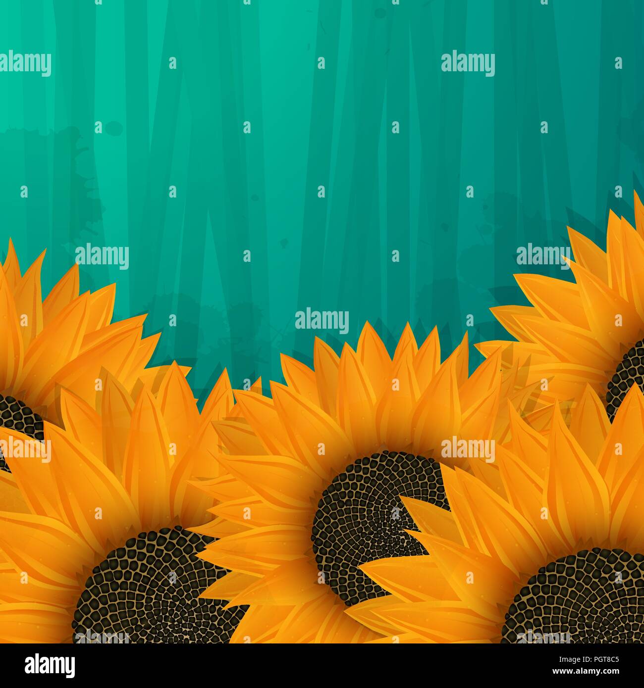 Sunflowers icon, vector art Stock Vector Image & Art - Alamy