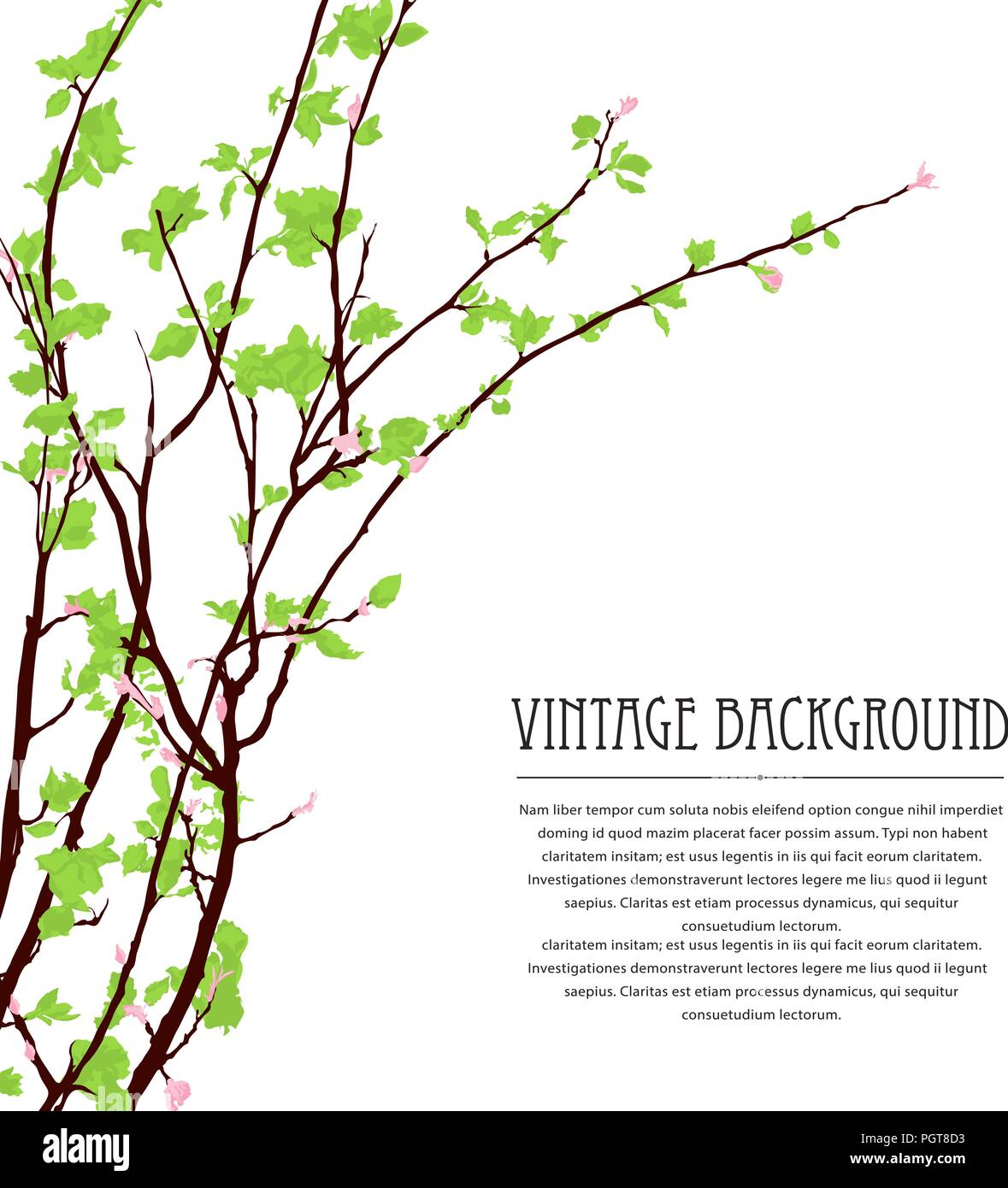 Spring background with blossoming tree brunch against white background ...