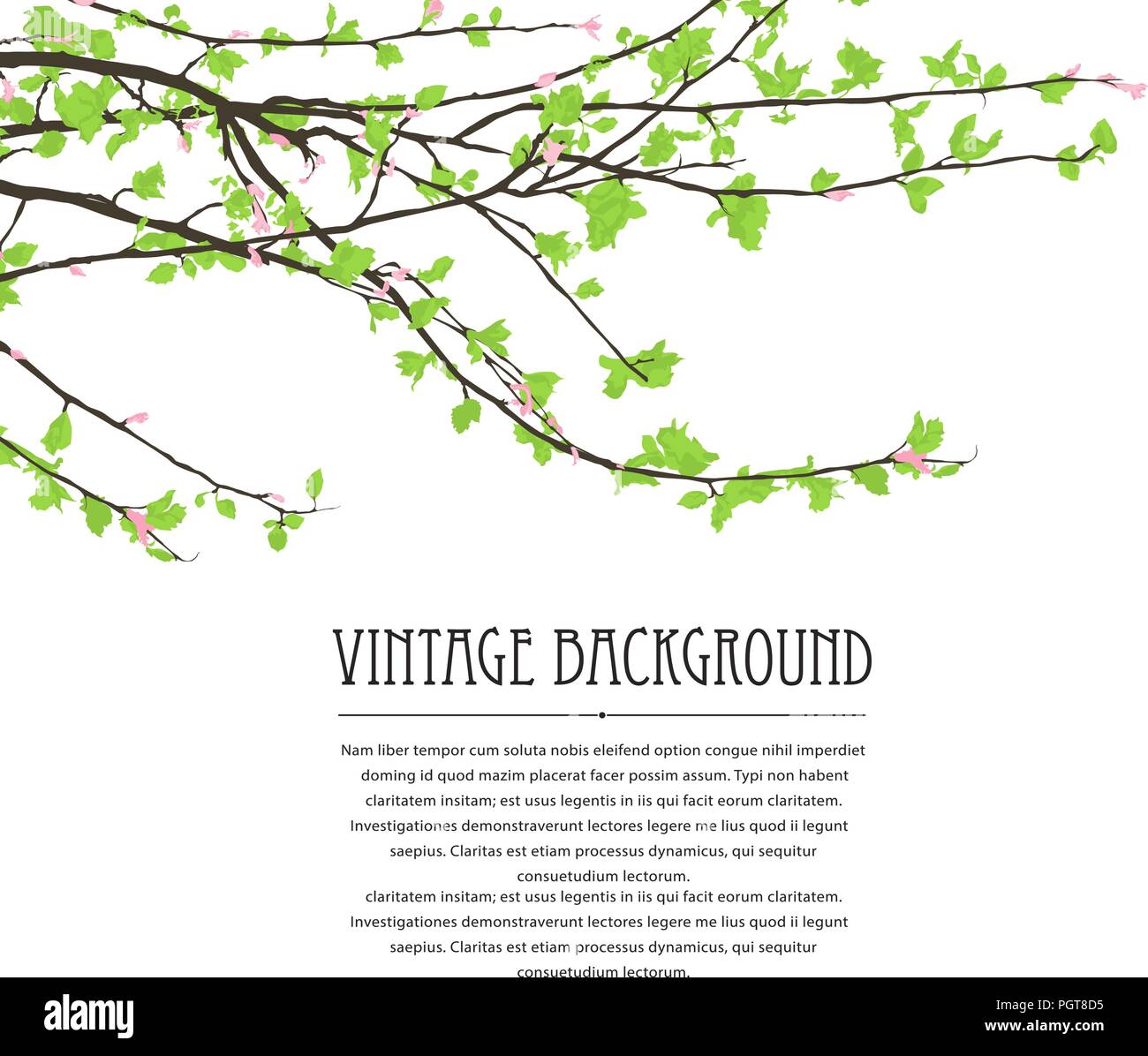 Spring background with blossoming tree brunch against white background ...