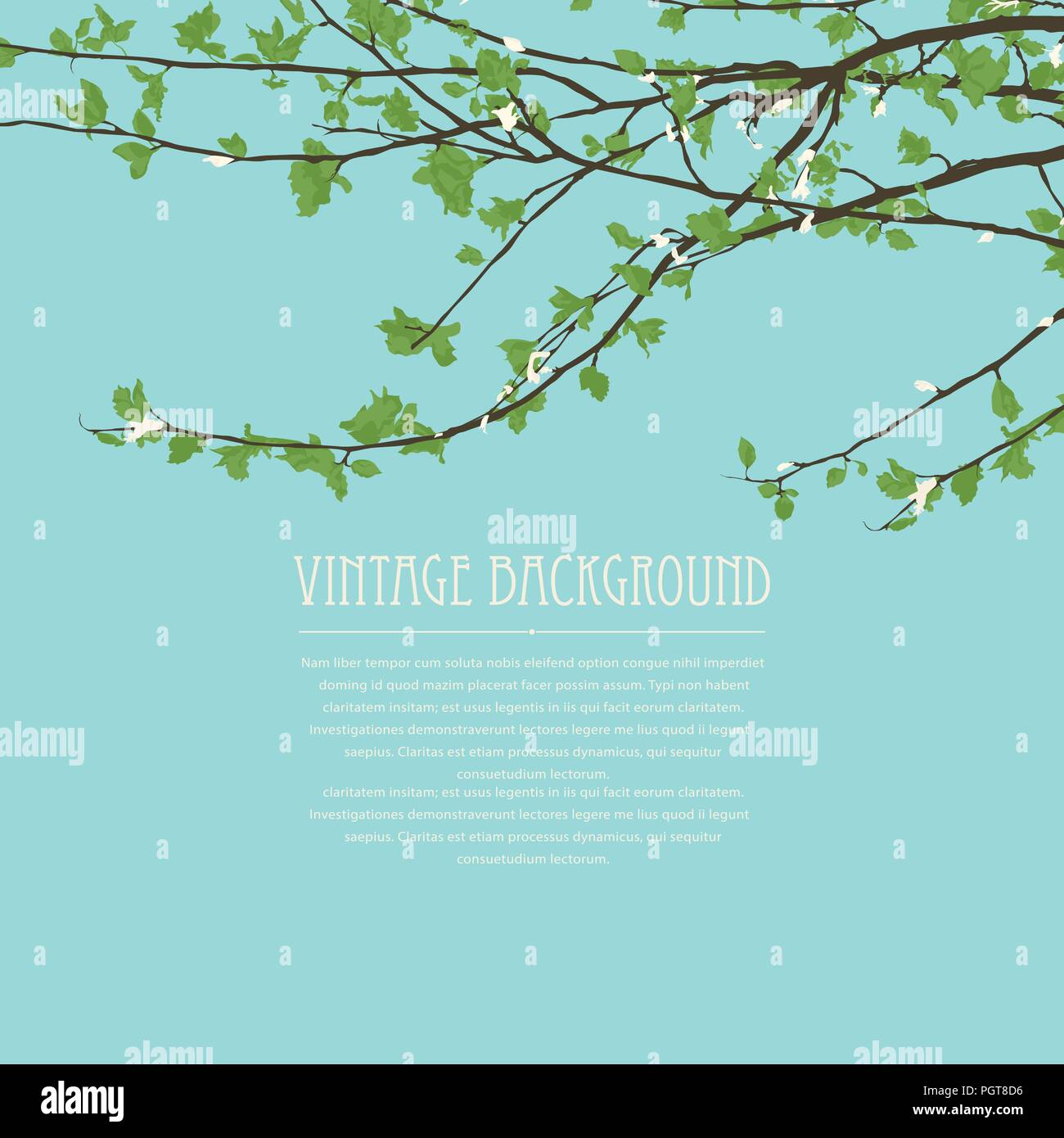 Spring background with blossoming tree brunch against white background ...