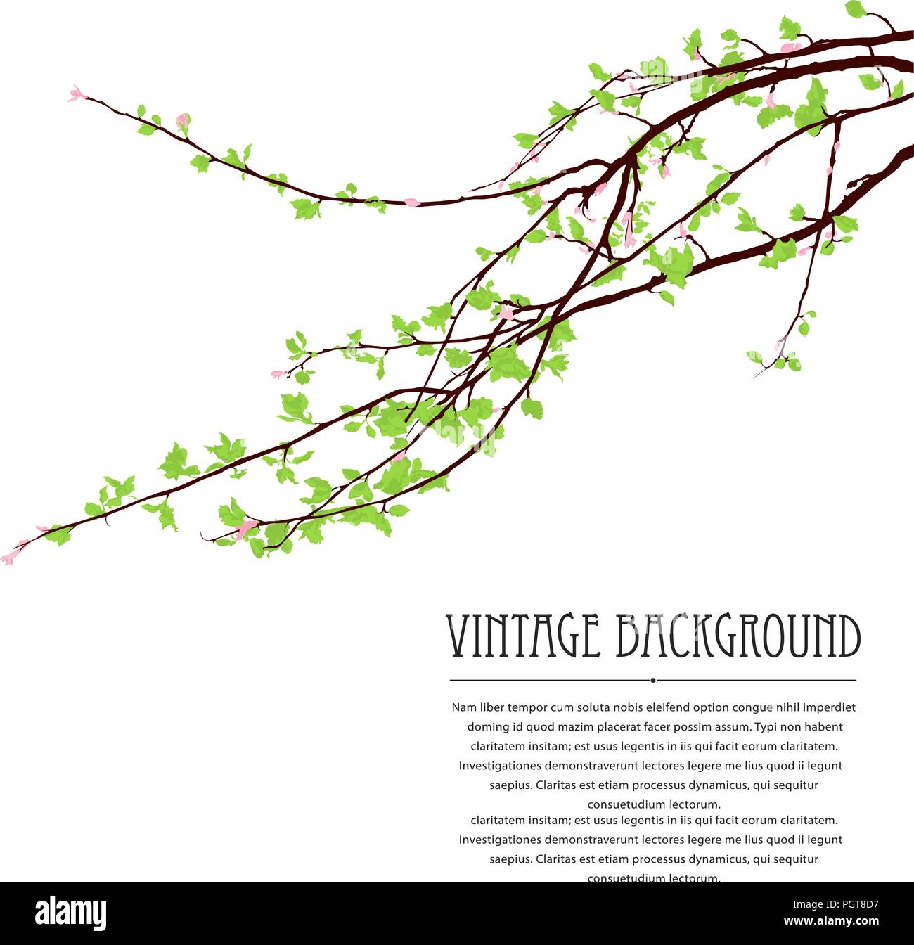 Spring background with blossoming tree brunch against white background ...