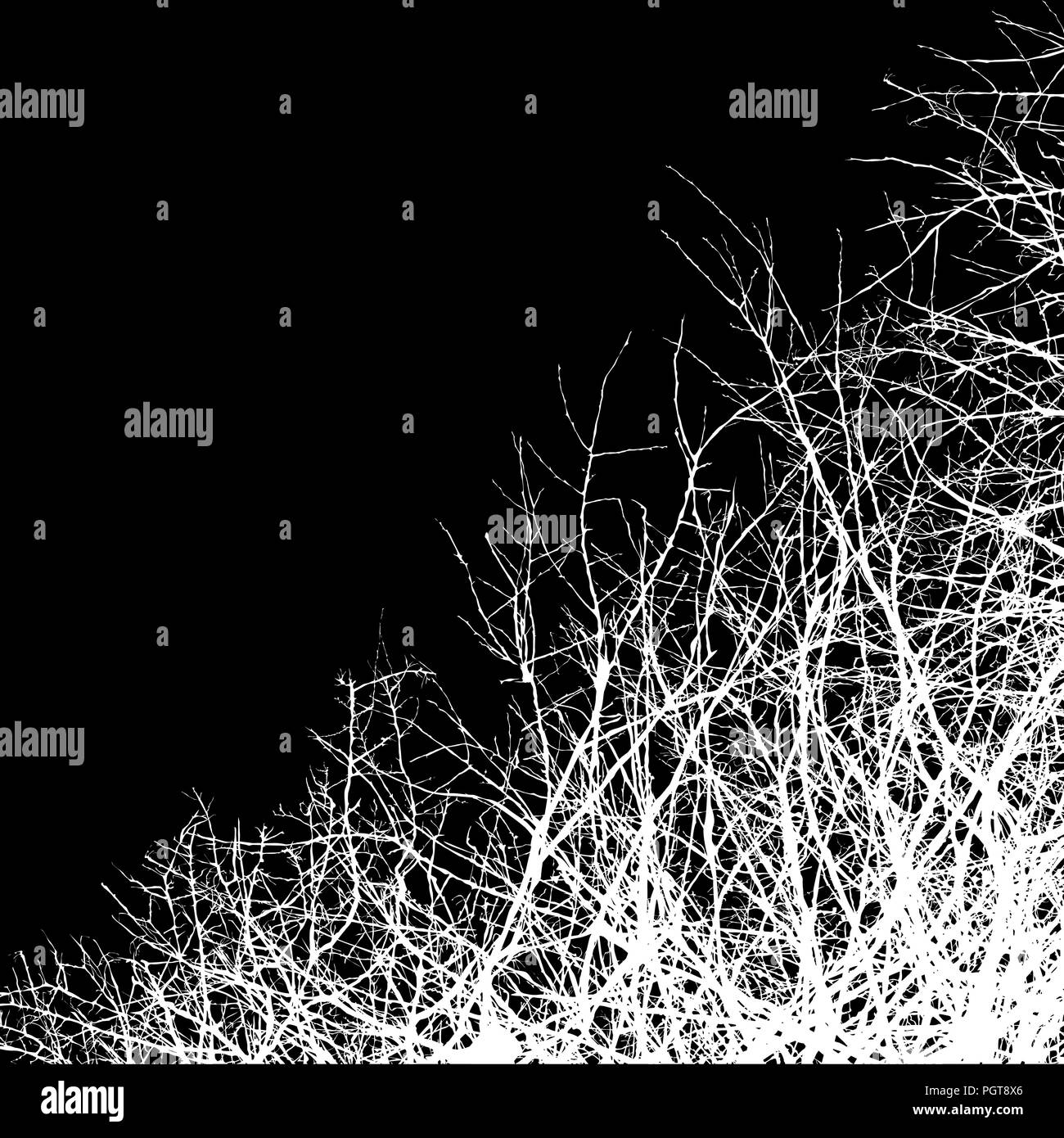 Leafless tree background Stock Vector Image & Art - Alamy