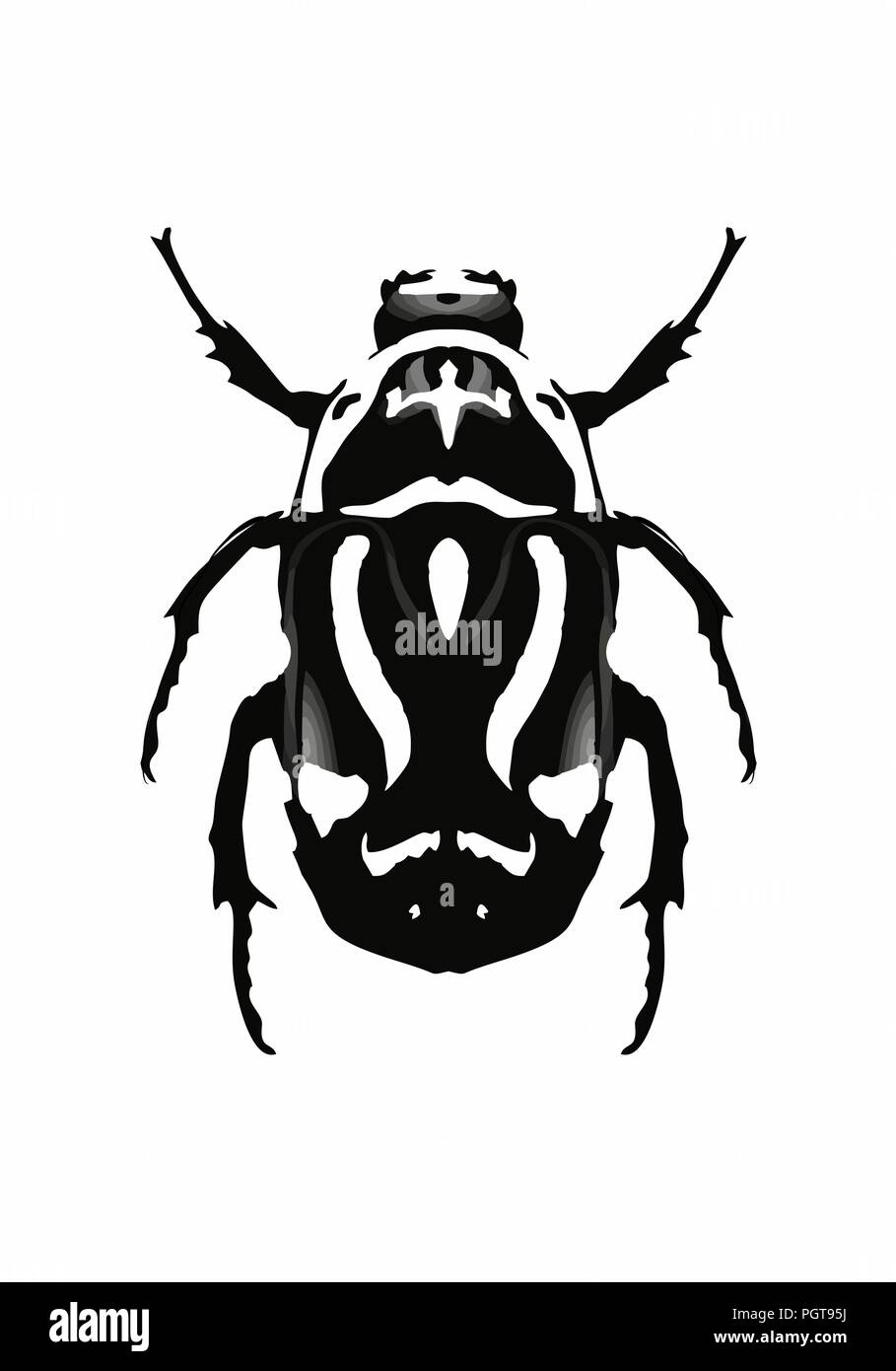 Beetle vector vectors hi-res stock photography and images - Alamy