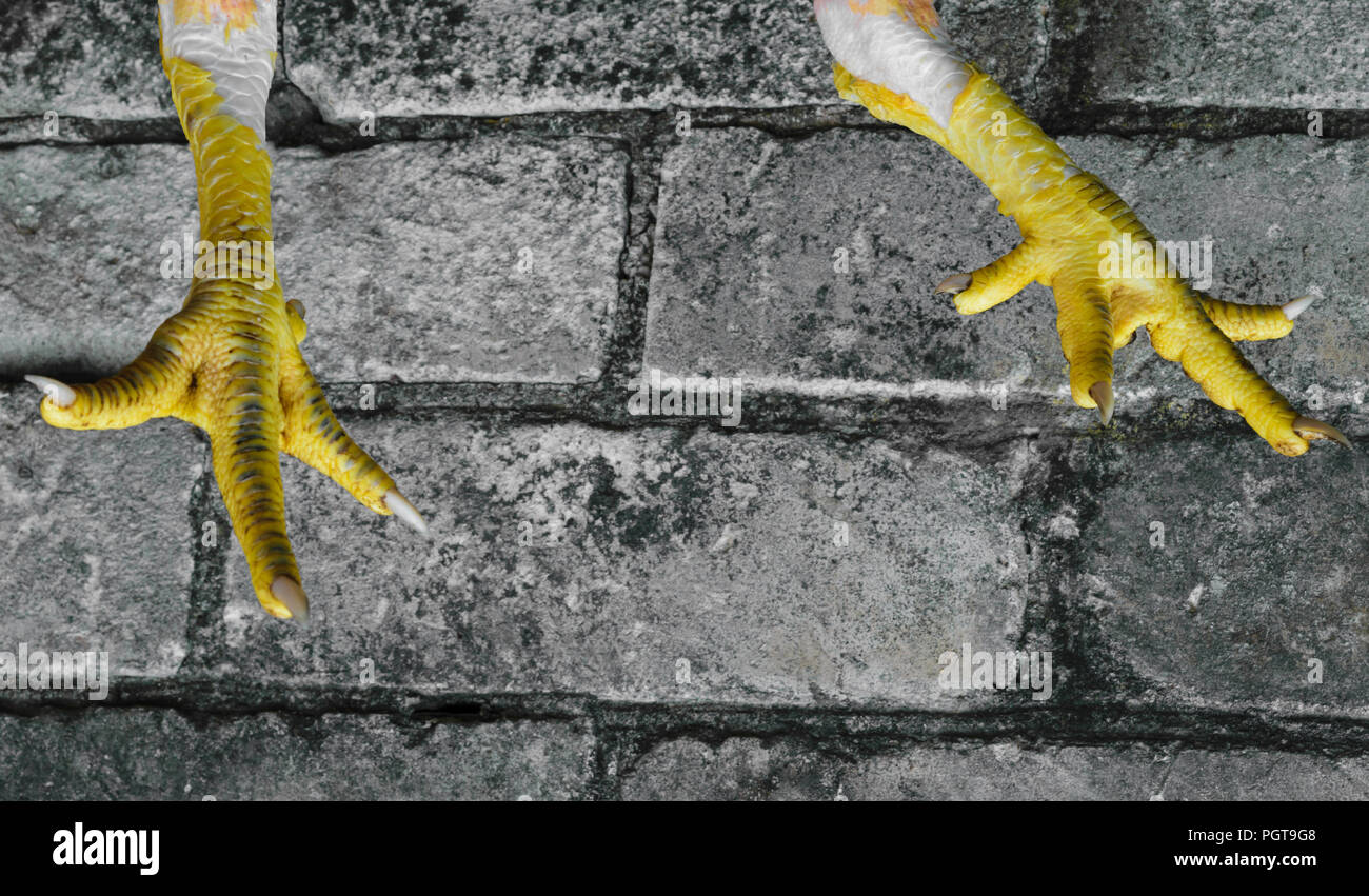 Chicken claw recipe hi-res stock photography and images - Alamy