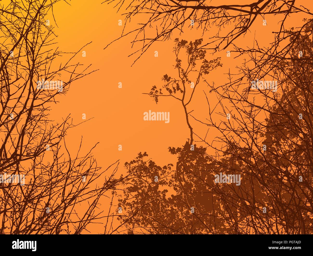 Isolated autumn color trees Stock Vector Images - Alamy