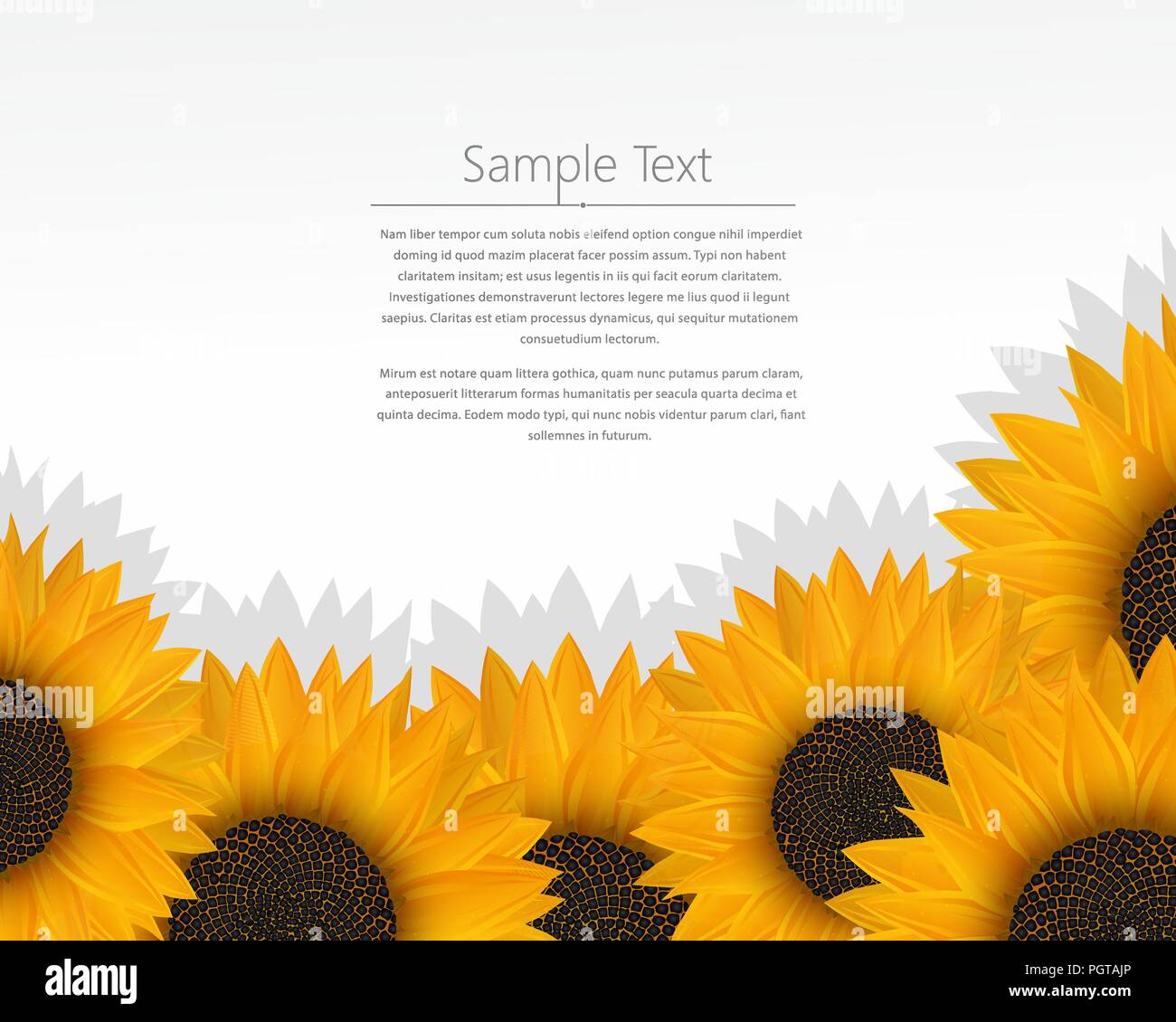 Vector template design with sunflowers Stock Vector Image & Art - Alamy
