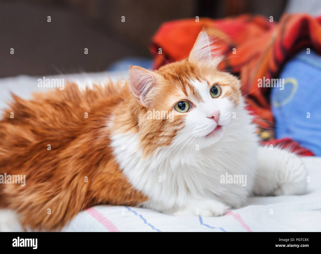 True care hi-res stock photography and images - Alamy