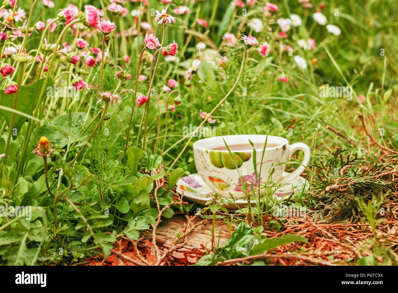 Super tea hi-res stock photography and images - Alamy